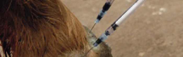 Equine & Science - For equine professionals - Feasibility for ...