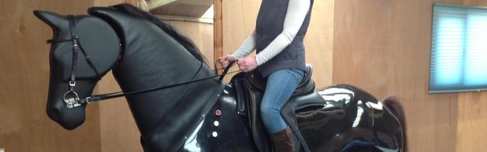 Equine & Science - For equine professionals - Effects of mechanical ...