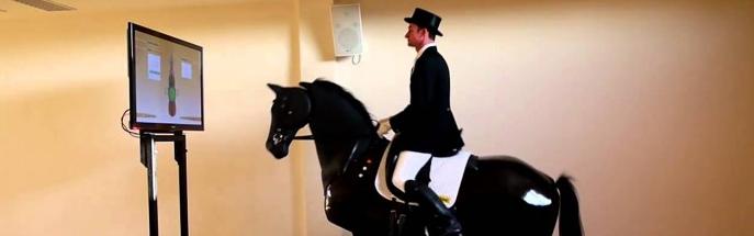 Equine & Science - For equine professionals - Riding Simulator Training