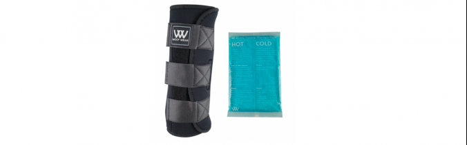 Equine & Science - For equine professionals - Tissue temperature ...